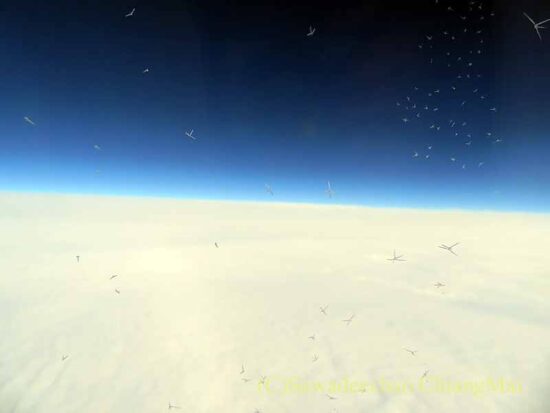 タイ国際航空TG642便バンコク発成田行きビジネスクラス搭乗記